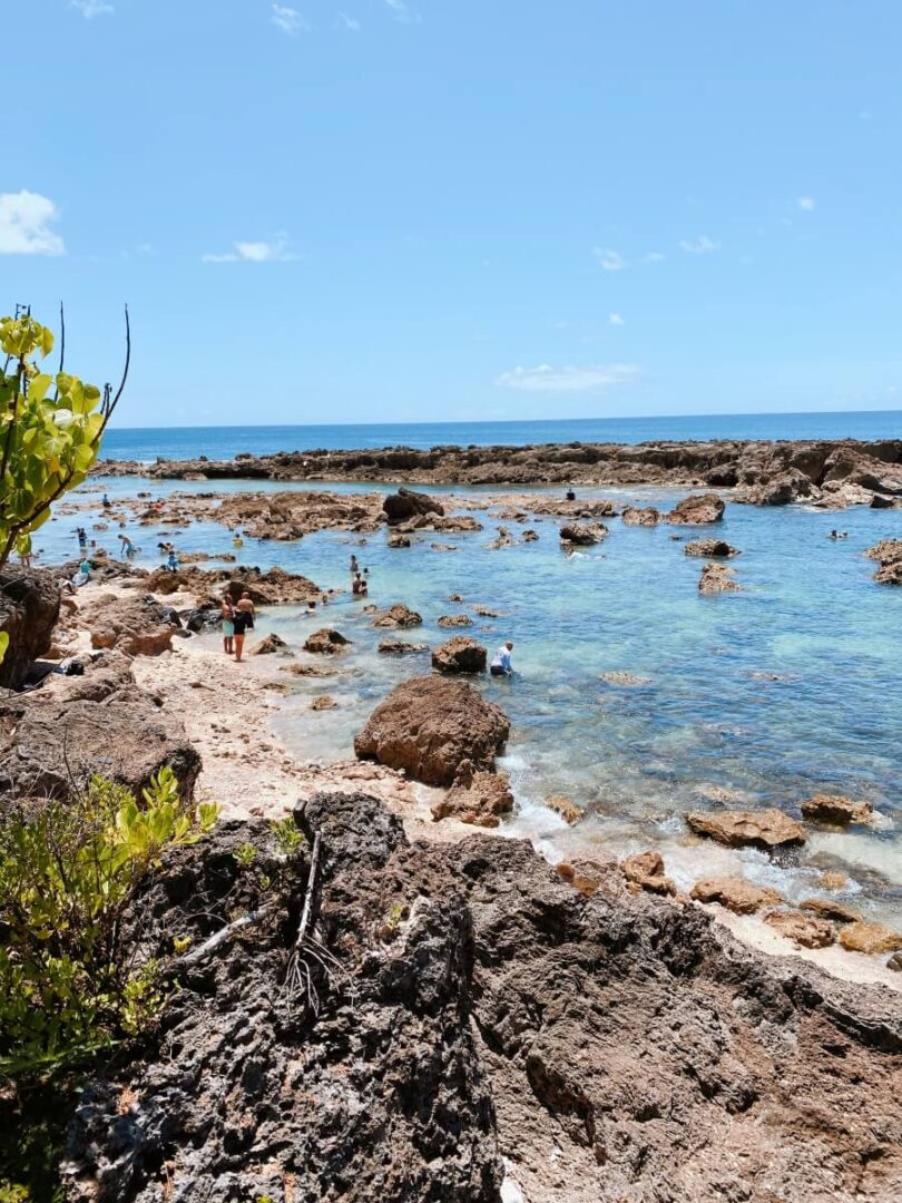5 Days in Oahu Itinerary: Beaches, Hiking, & More - A One Way Ticket